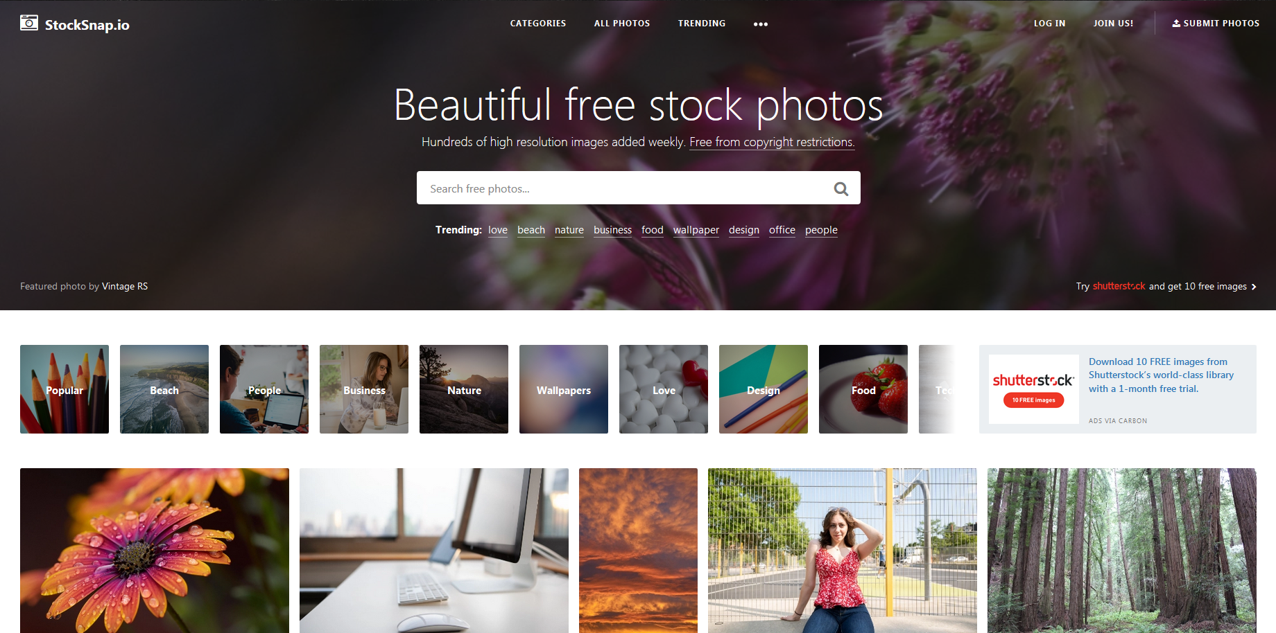 Using Royalty Free Images on Your Website + 11 Stock Image Sources