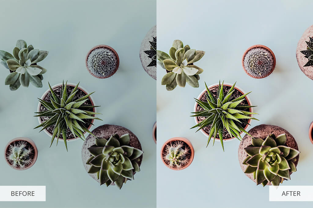 21 Best Free Photoshop Actions for Product Photography