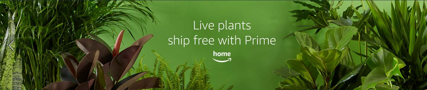 How To Design Banners For An eCommerce Site