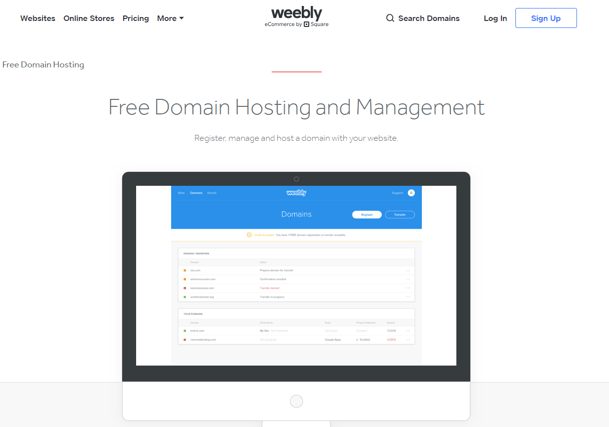 How to get a free domain for your website